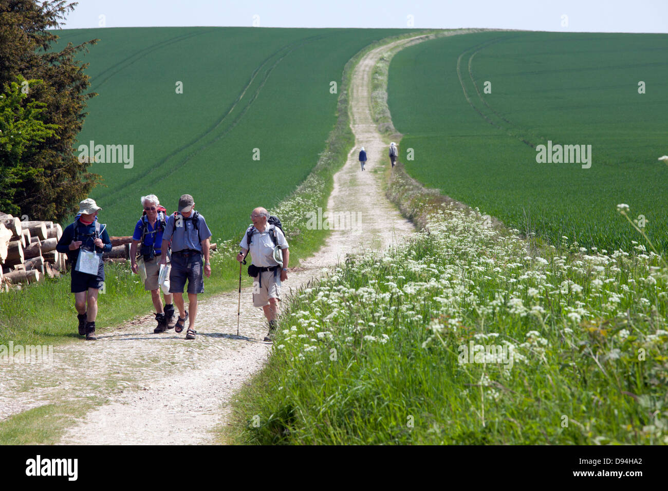Walkers on the South Downs Way at Bignor Hill, West Sussex, UK, part of ...