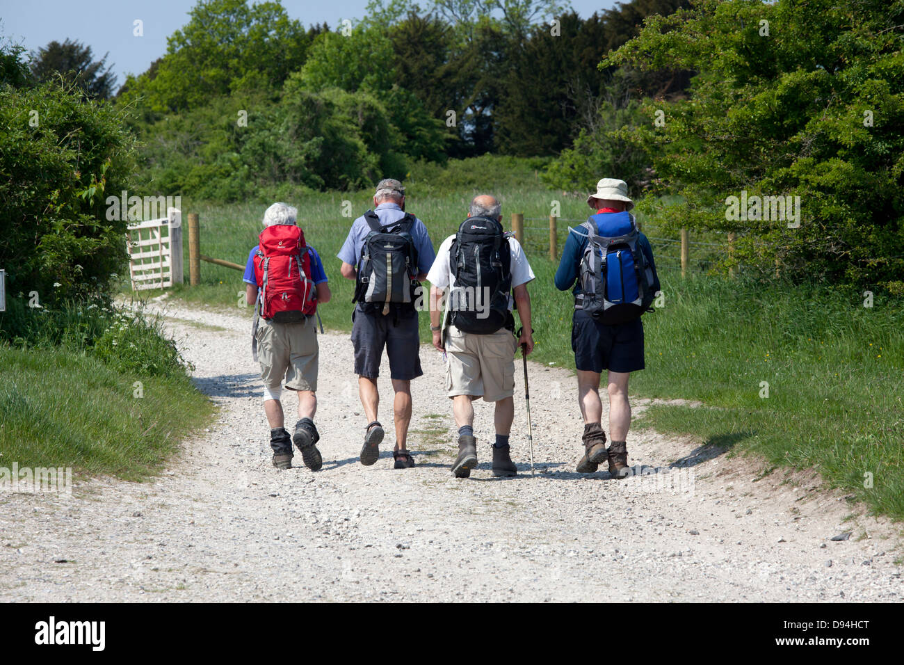 South downs way bignor hill hi-res stock photography and images - Alamy