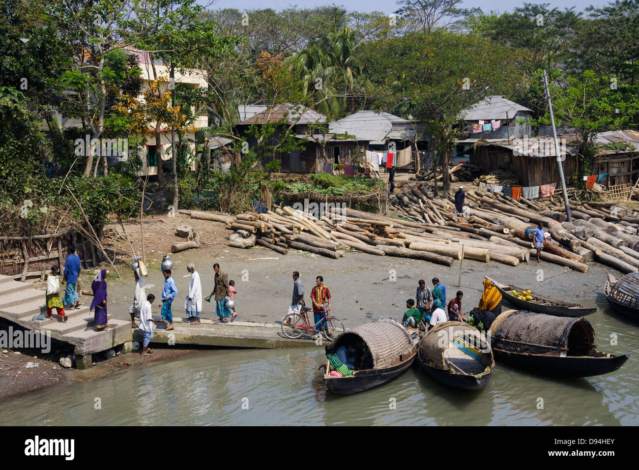 Tropical lumber hi-res stock photography and images - Alamy