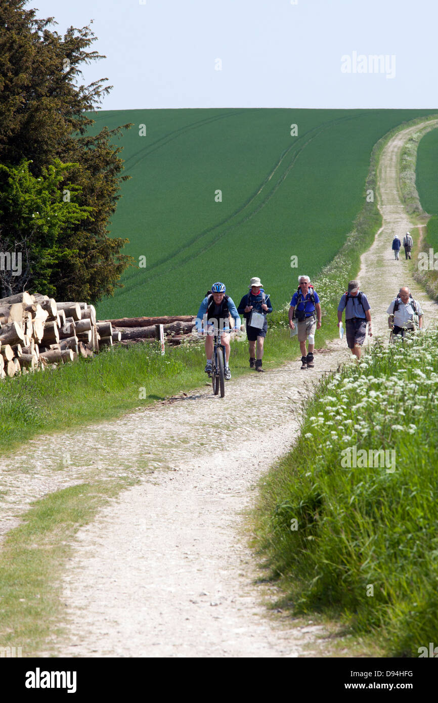 Walkers and a cyclist on the South Downs Way at Bignor Hill, West ...