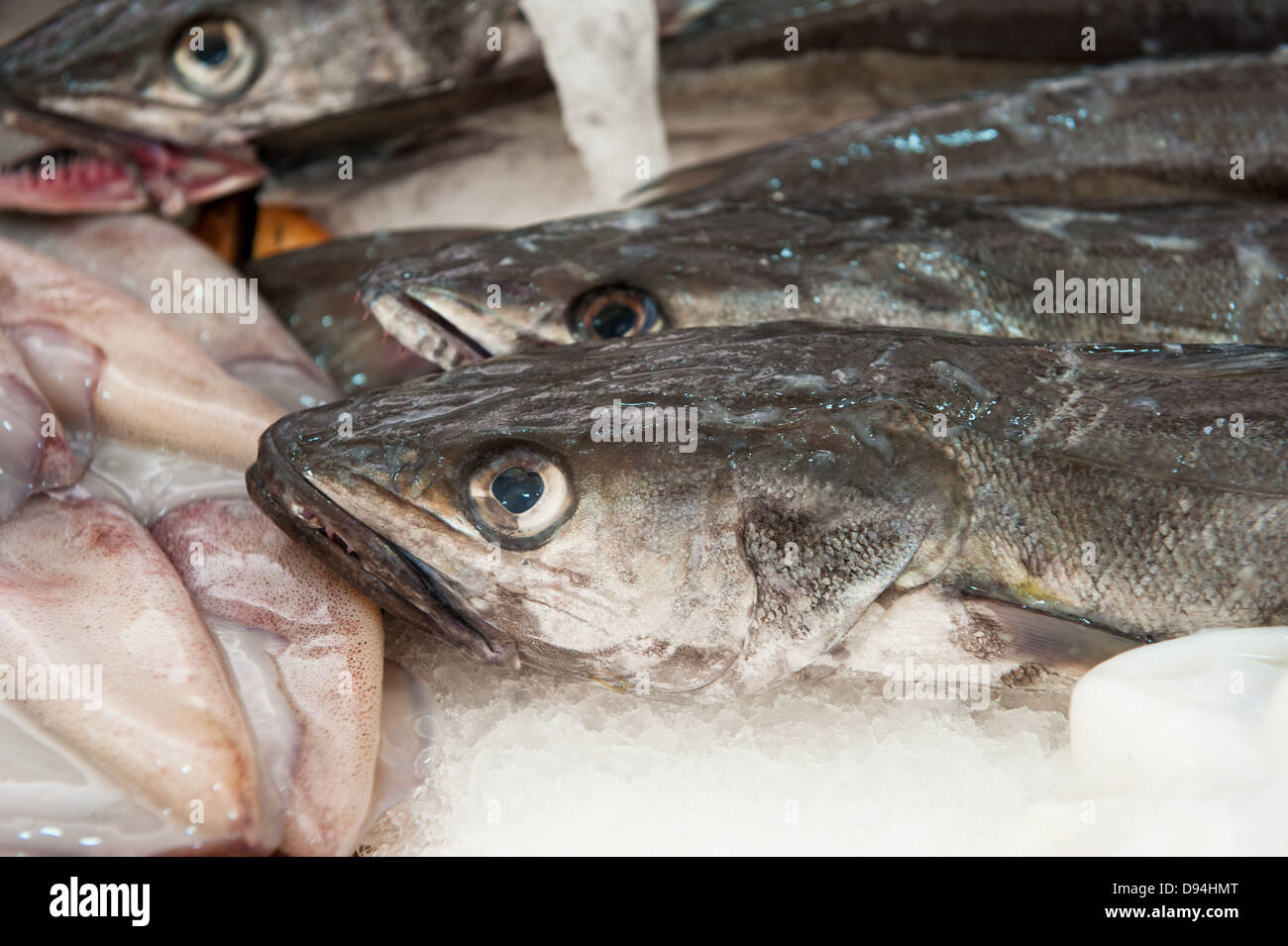Hake hi-res stock photography and images - Alamy