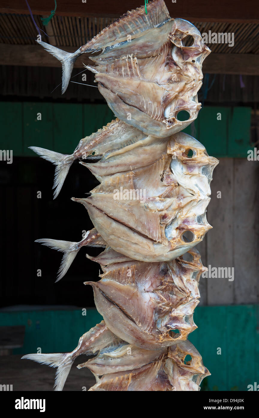 Dried fish, Sulawesi, Indonesia Stock Photo - Alamy