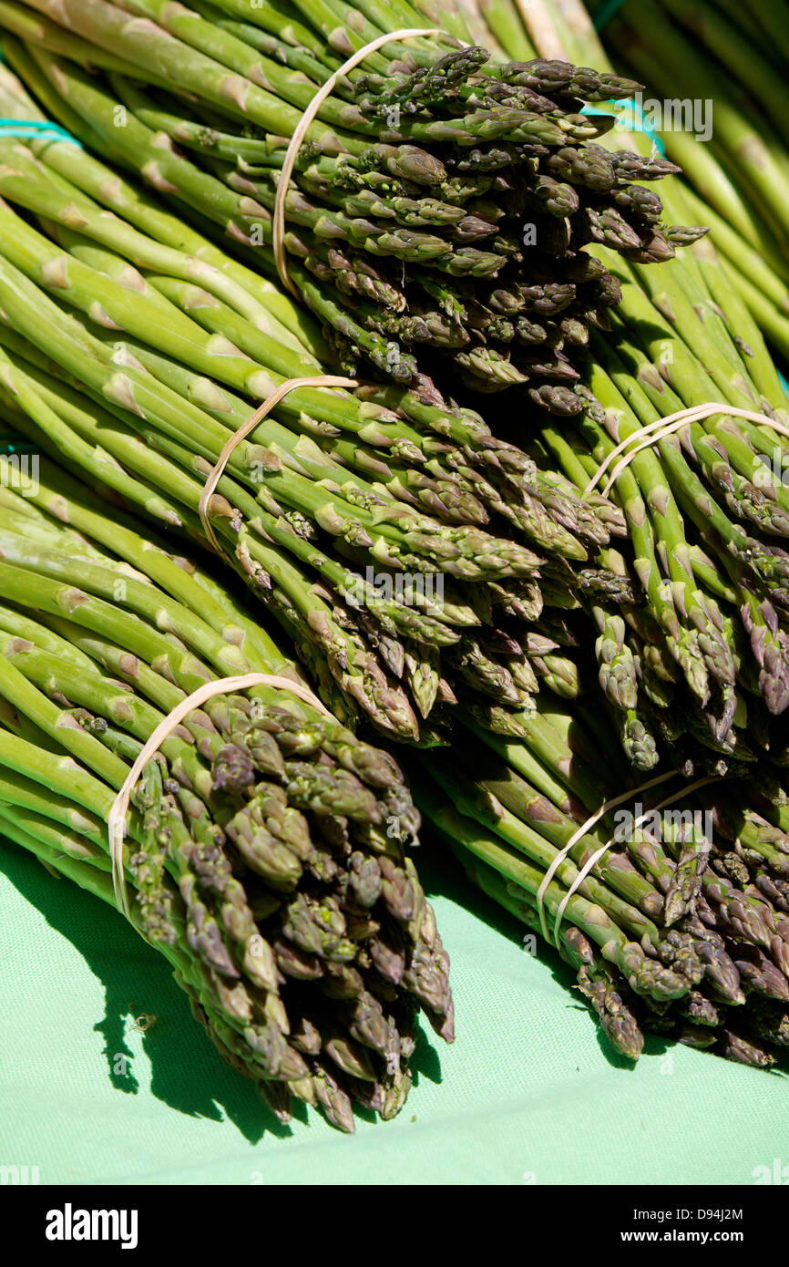 Diuretic plant hi-res stock photography and images - Alamy