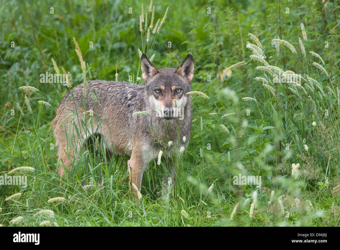 Christina reserve hi-res stock photography and images - Alamy