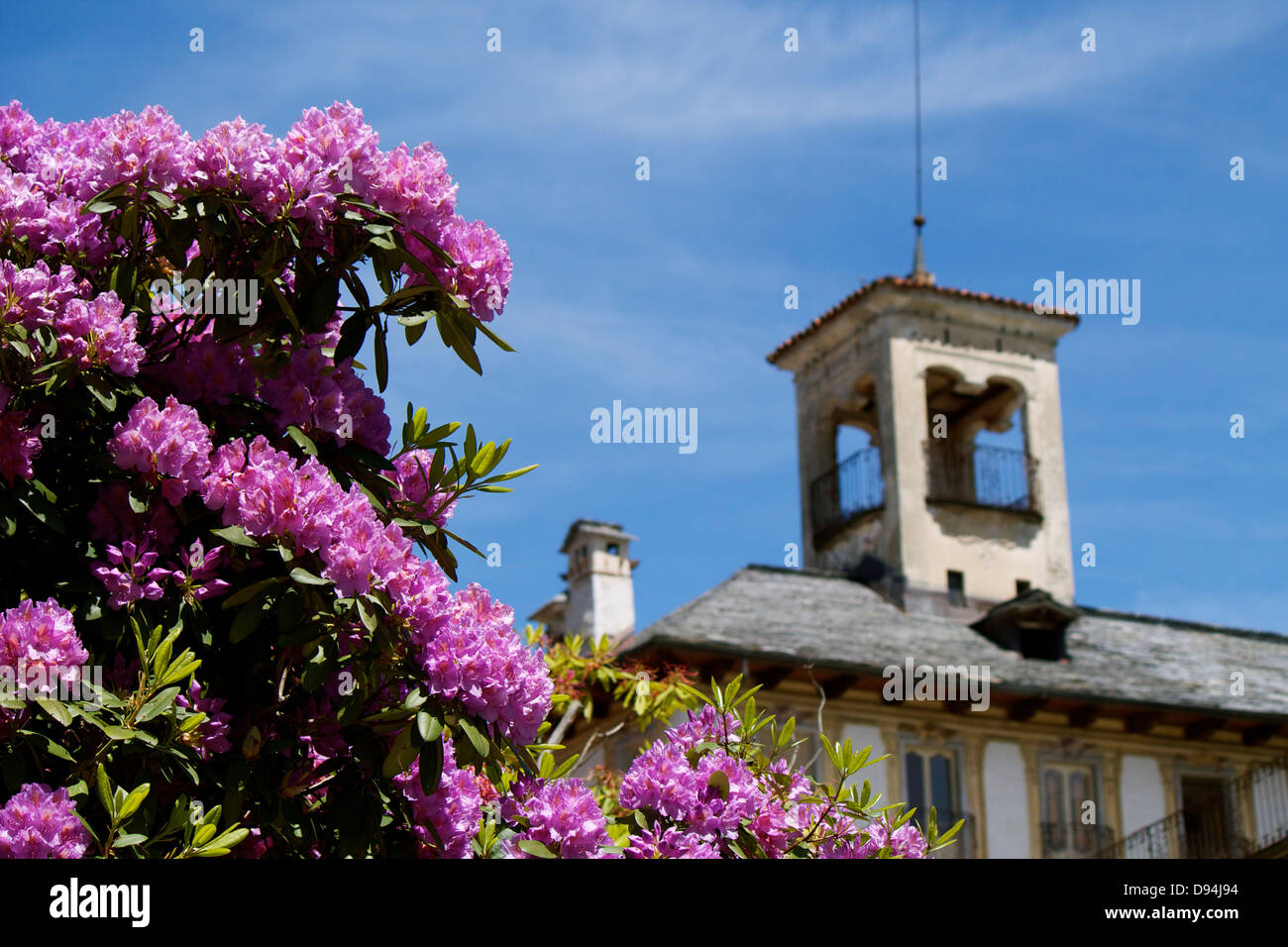 Flowers turret hi-res stock photography and images - Alamy