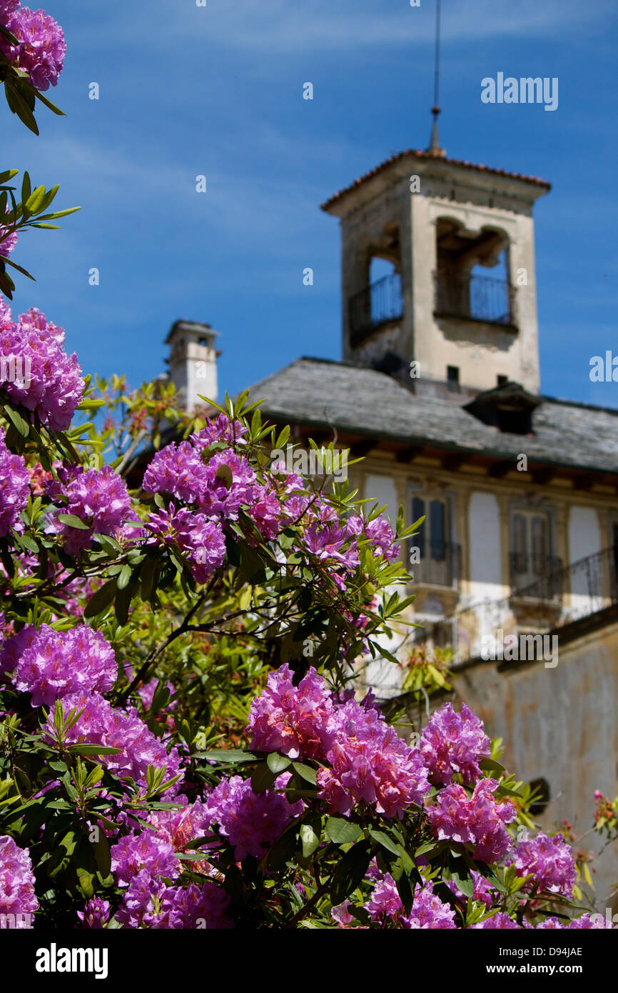 Flowers turret hi-res stock photography and images - Alamy