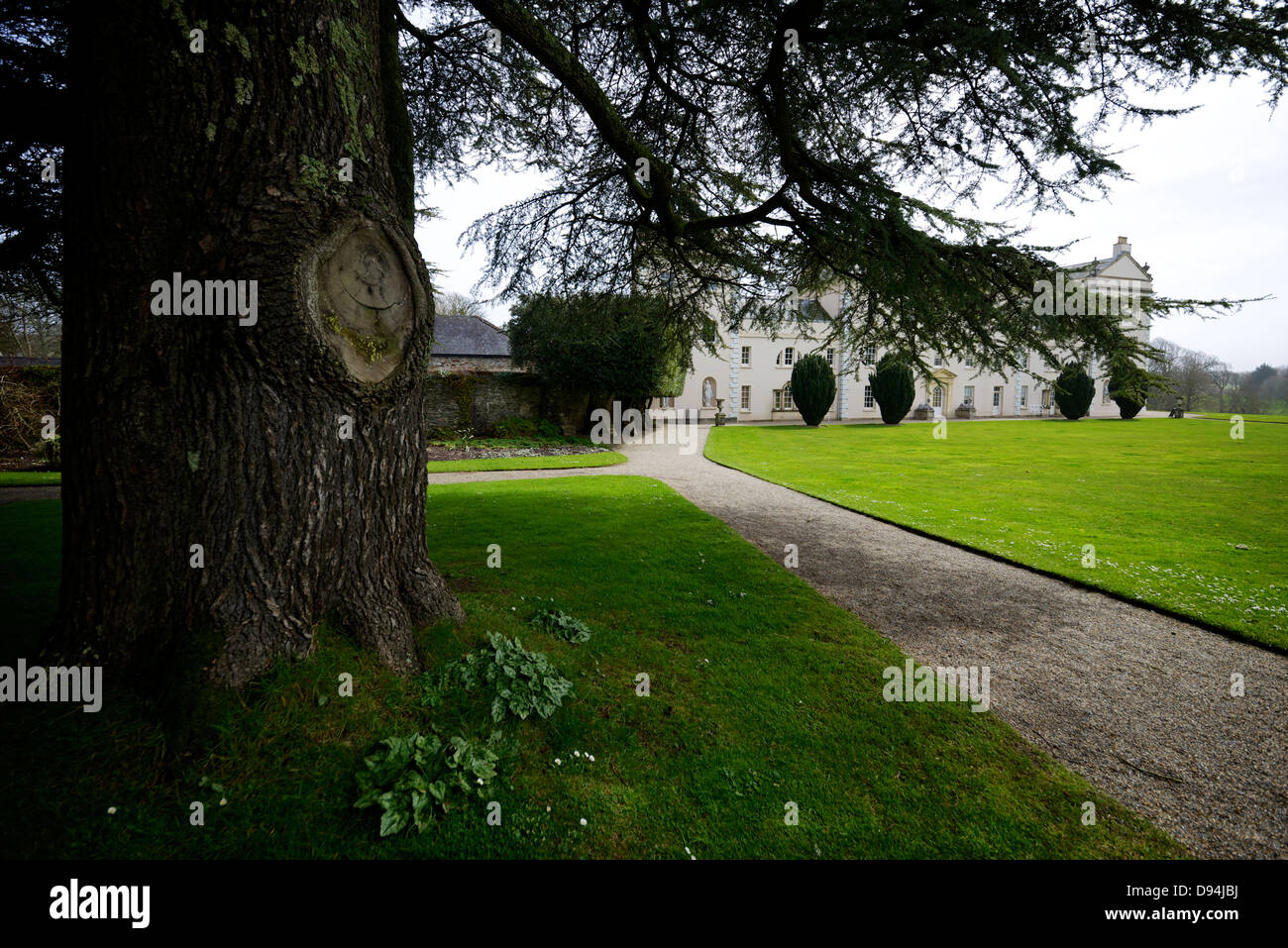 Saltram, National Trust, Devon, UK Stock Photo - Alamy
