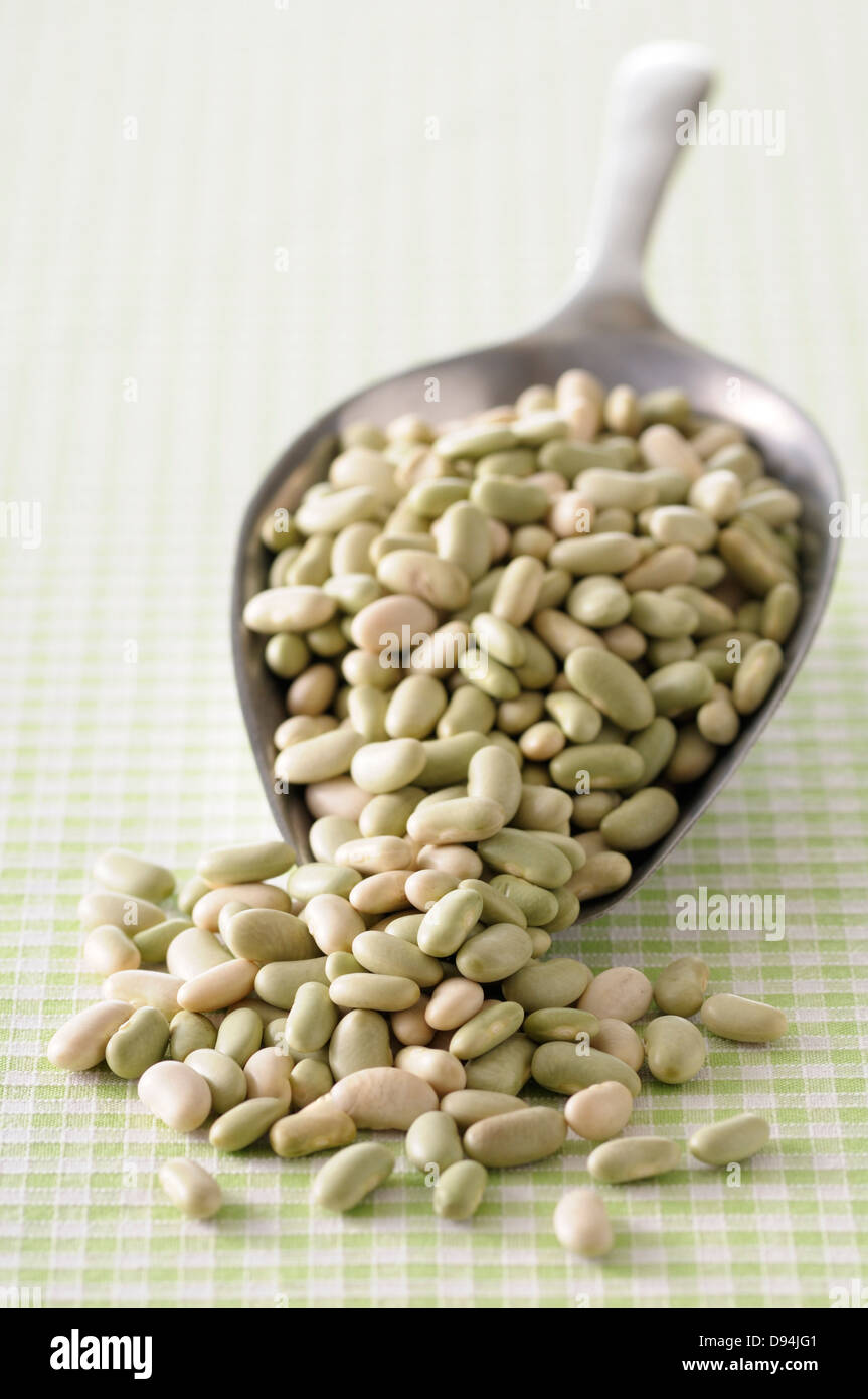 Scoop of beans, studio shot Stock Photo - Alamy