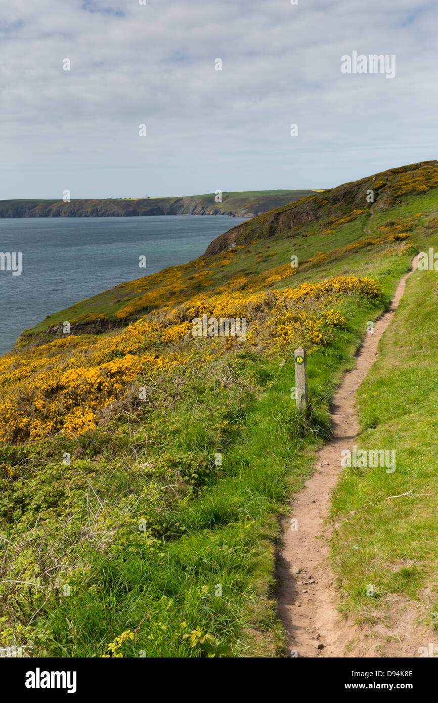 Pembrokeshire coast towards Newgale and Rickets Head St Brides Bay ...