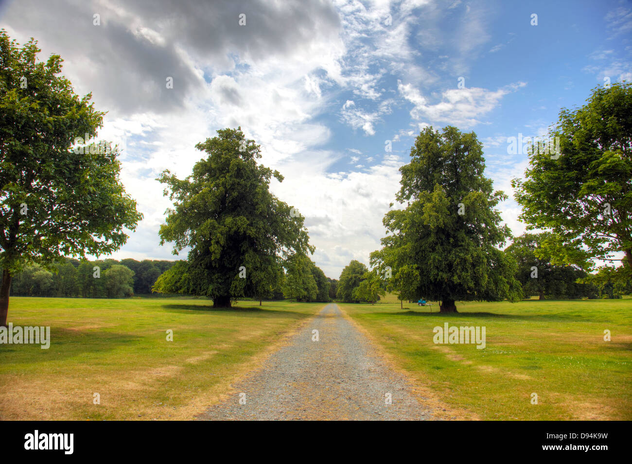 Landscape at an English Country Estate with tall trees Stock Photo - Alamy