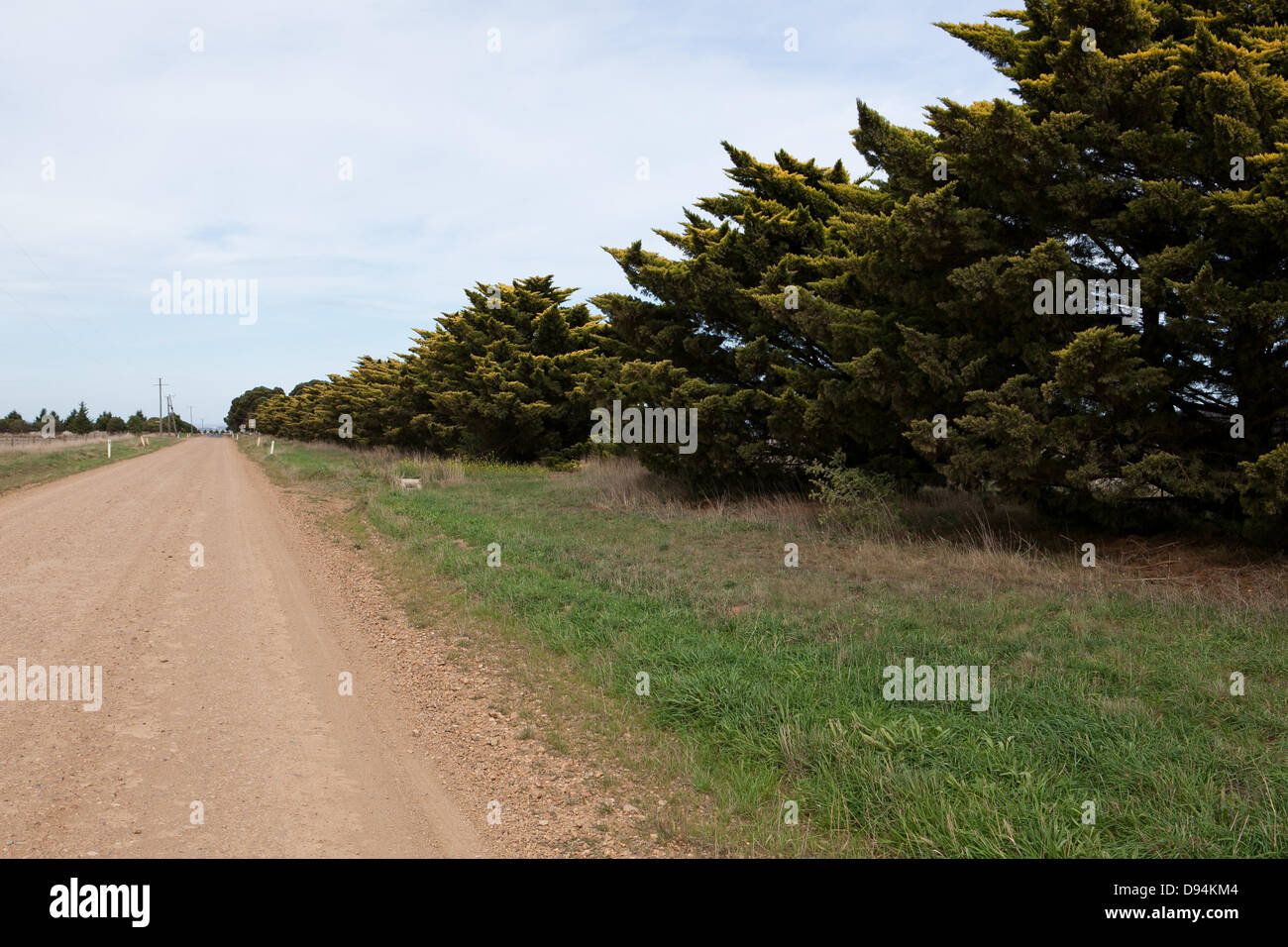 General view of Black Hill Road, Gisborne South, Victoria where Jill ...