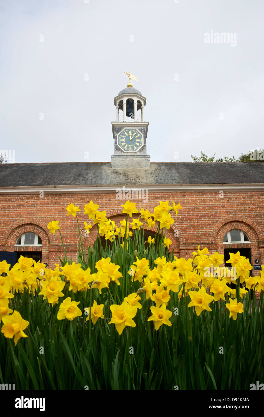 Saltram, National Trust, Devon, UK Stock Photo - Alamy
