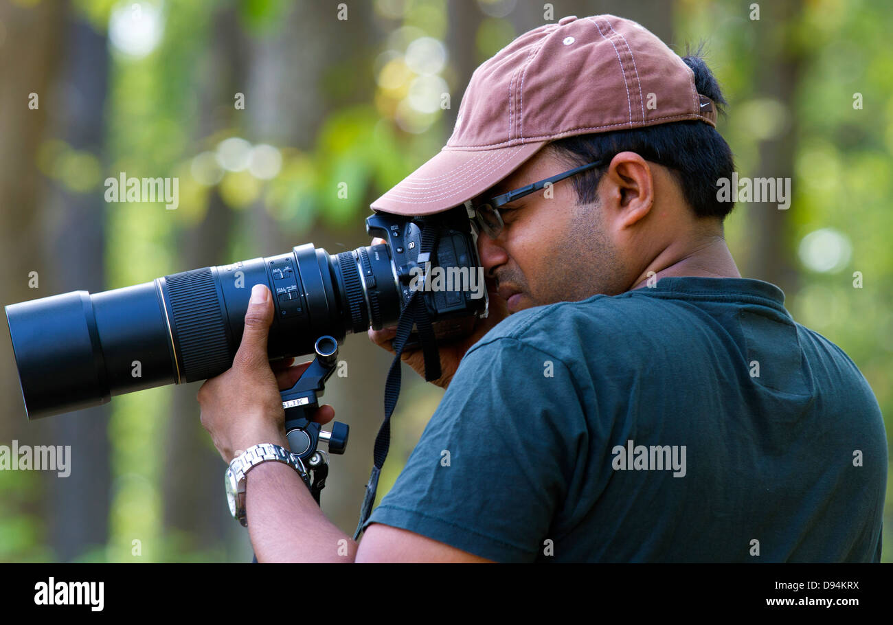 Photographer concentrates on getting picture of the birds Stock Photo ...
