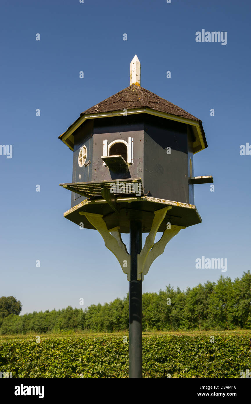 Dutch Dove High Resolution Stock Photography and Images - Alamy