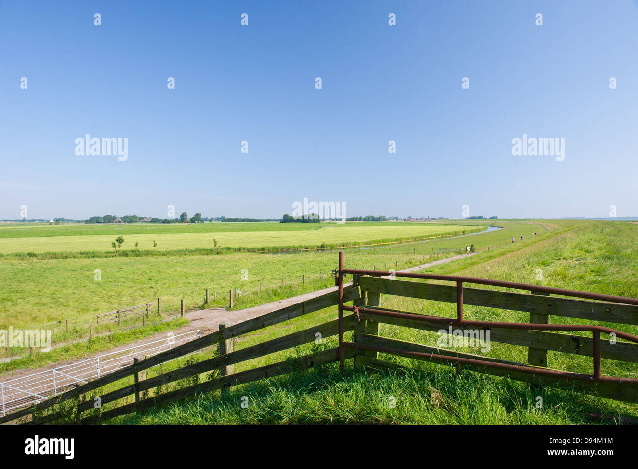 Dutch agricultural landscape in Friesland Stock Photo - Alamy