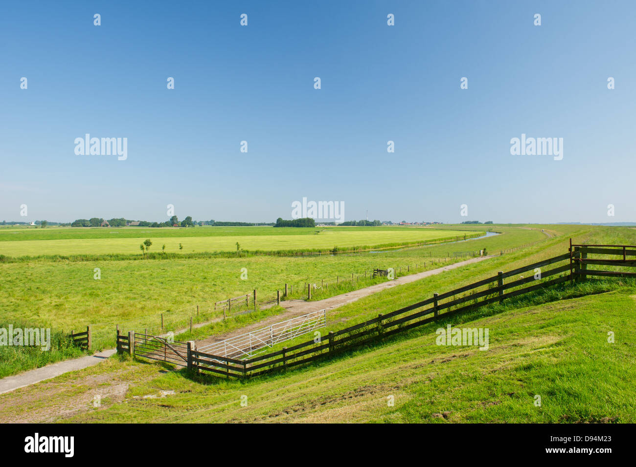 Dutch agricultural landscape in Friesland Stock Photo - Alamy