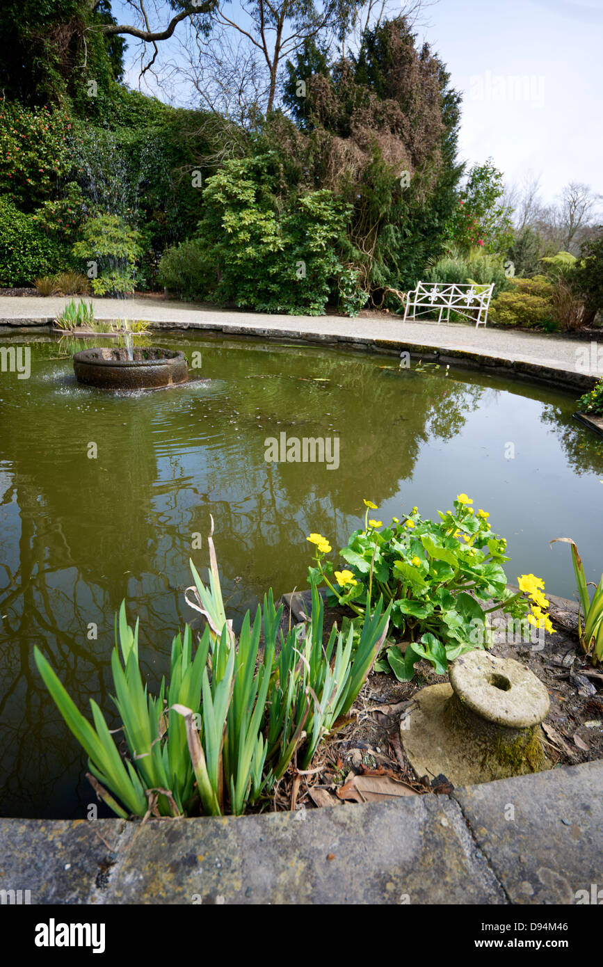 Saltram, National Trust, Devon, UK Stock Photo - Alamy