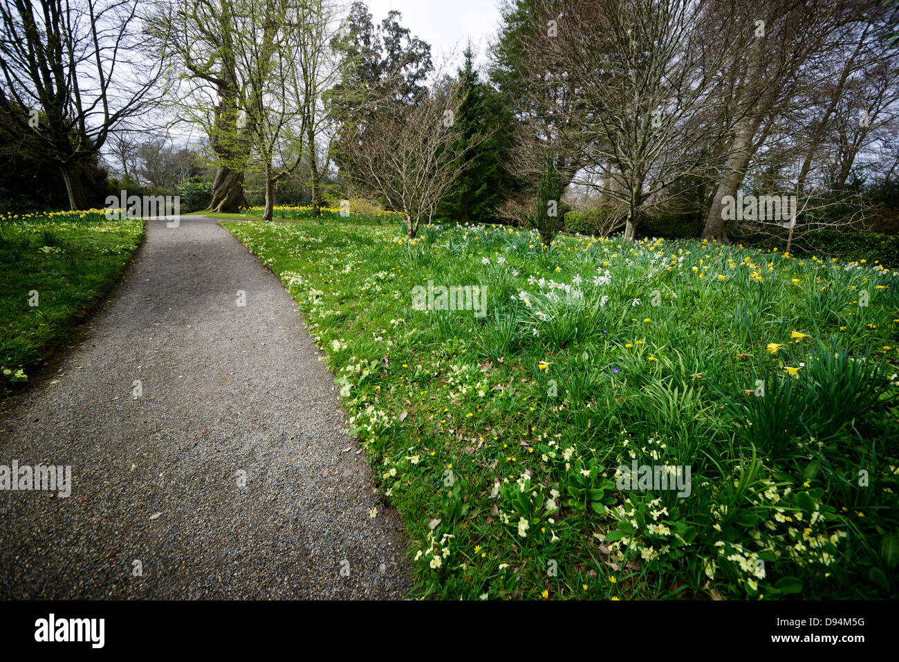 Saltram, National Trust, Devon, UK Stock Photo - Alamy