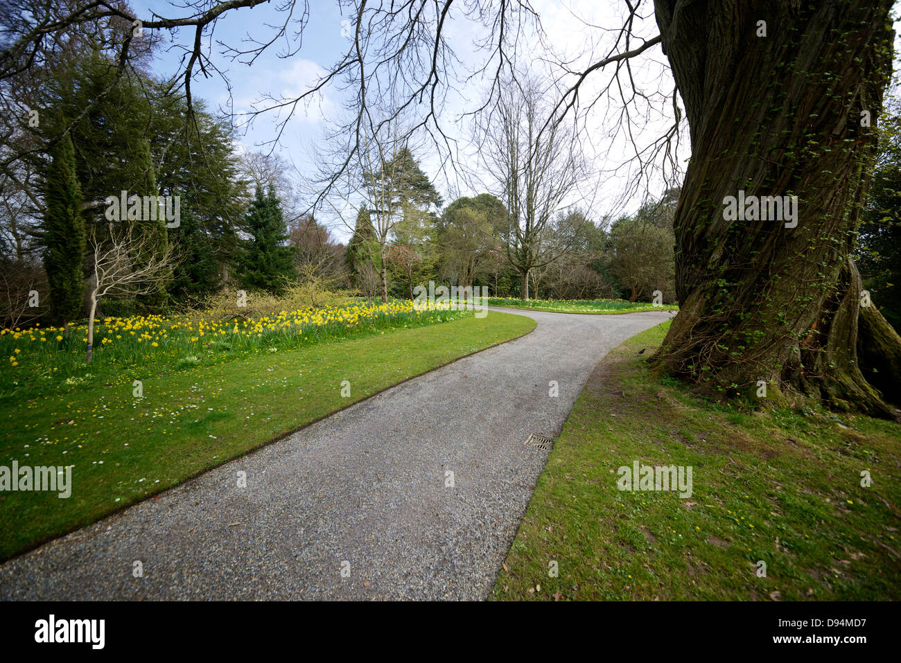 Saltram, National Trust, Devon, UK Stock Photo - Alamy