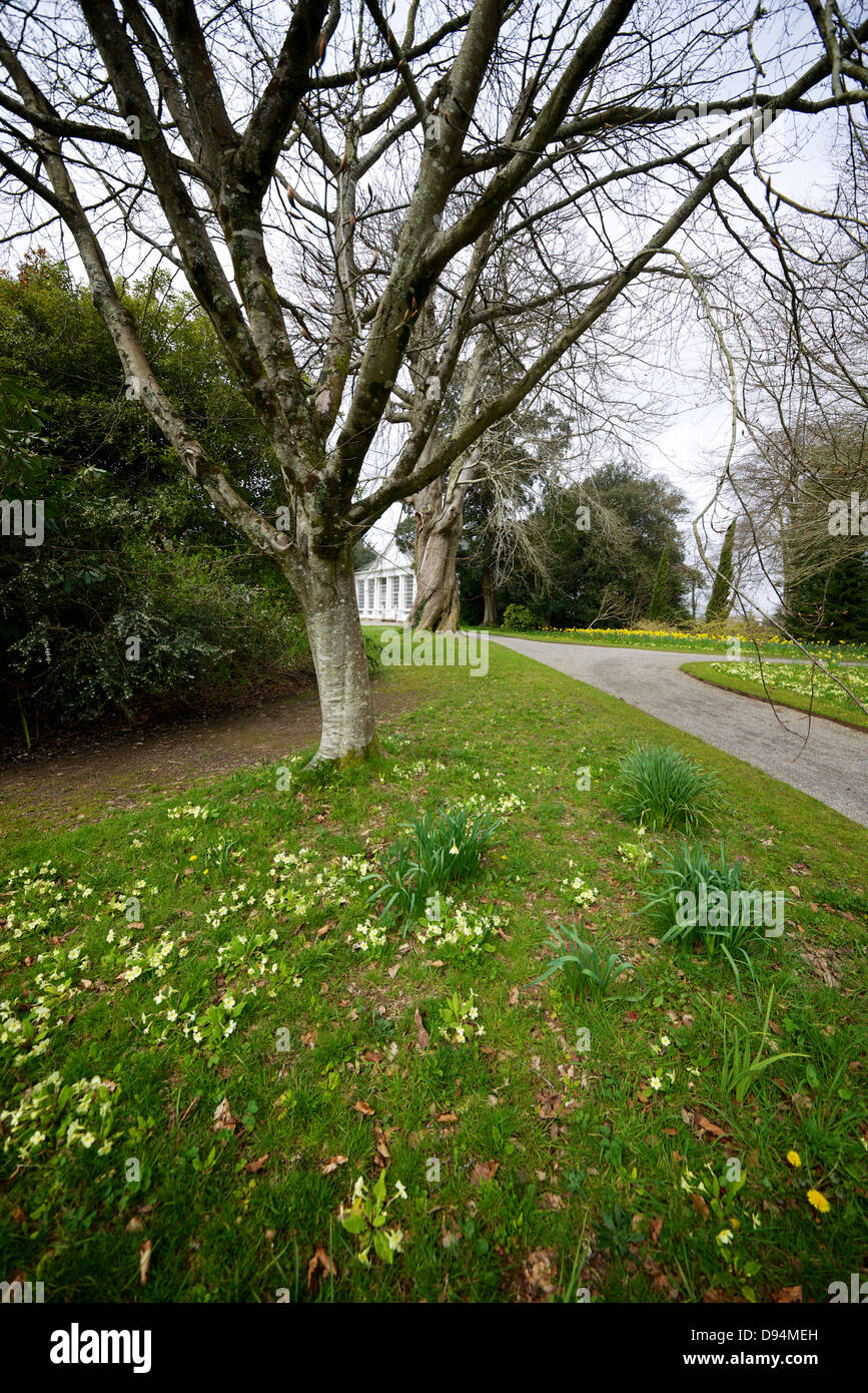 Saltram, National Trust, Devon, UK Stock Photo - Alamy