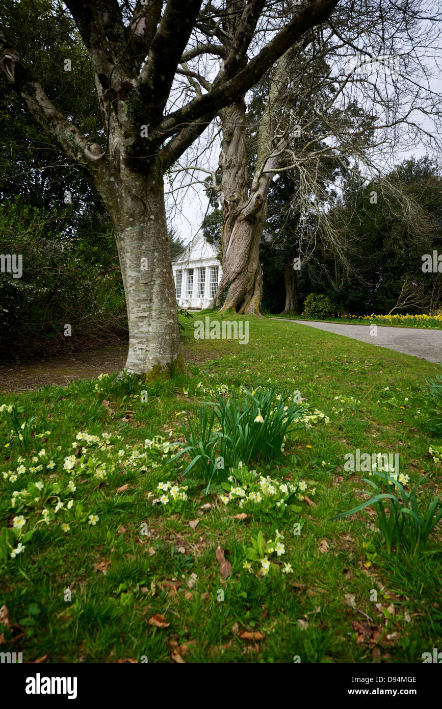 Saltram, National Trust, Devon, UK Stock Photo - Alamy