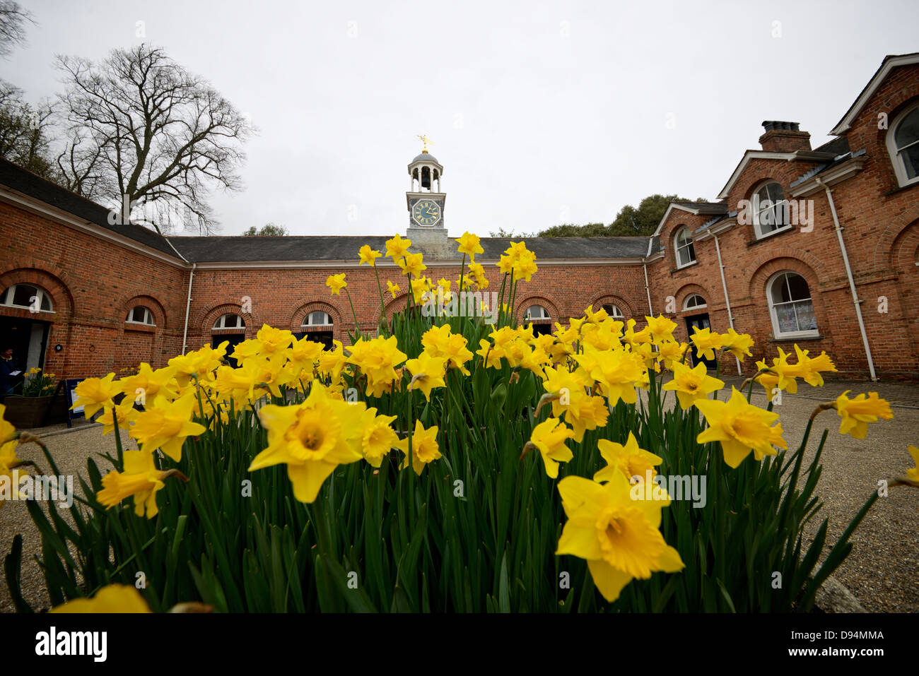 Saltram, National Trust, Devon, UK Stock Photo - Alamy