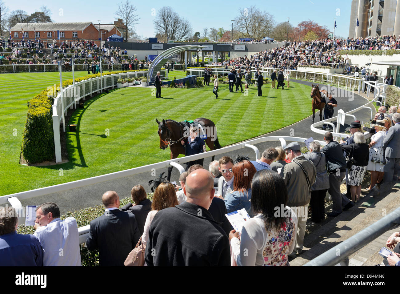 Spectators watching horse race hi-res stock photography and images - Alamy