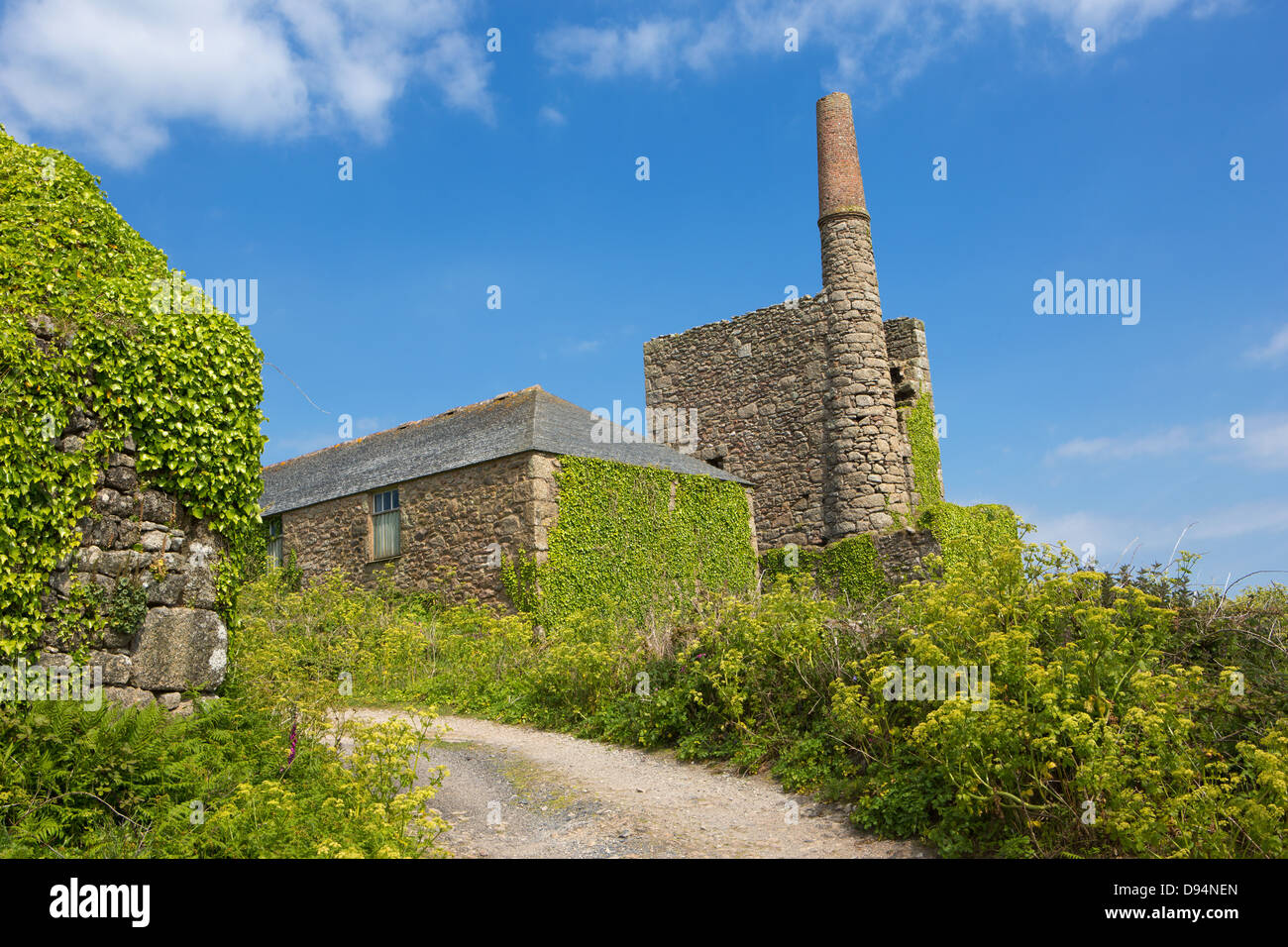 Cornish tin mine Stock Photo - Alamy
