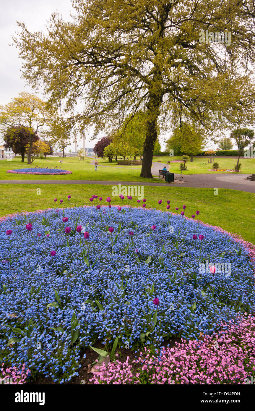 Flower Beds Of Spring Flowers In The Fort Gardens At Gravesend Kent UK ...