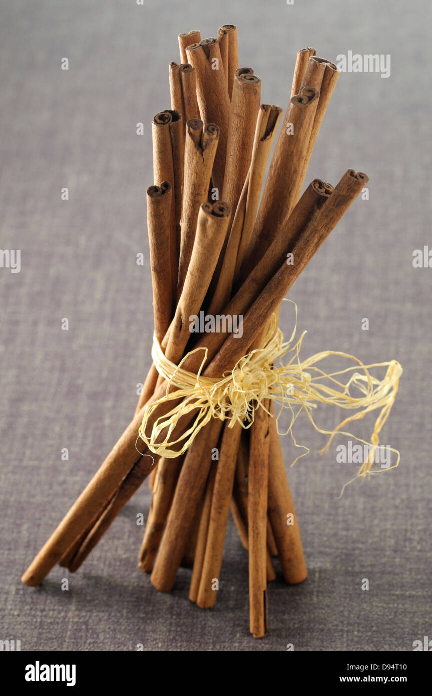 Close-up of Cinnamon Sticks tied with Raffia on Grey Background, Studio ...