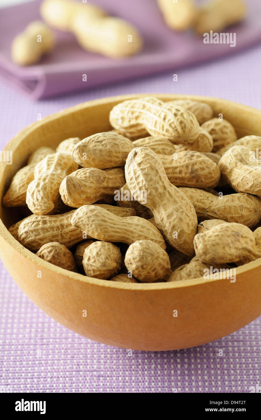 Close-up of Bowl of Peanuts on Purple Background, Studio Shot Stock ...