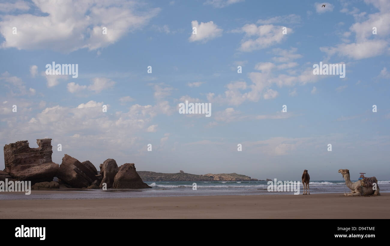 Destroyed sand castle hi-res stock photography and images - Alamy