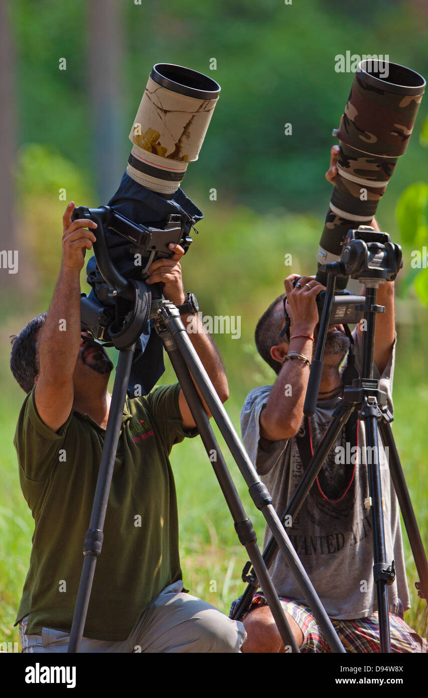 Professional Wildlife Photographer India Stock Photo Alamy professional-wildlife-photographer-india-stock-photo-alamy