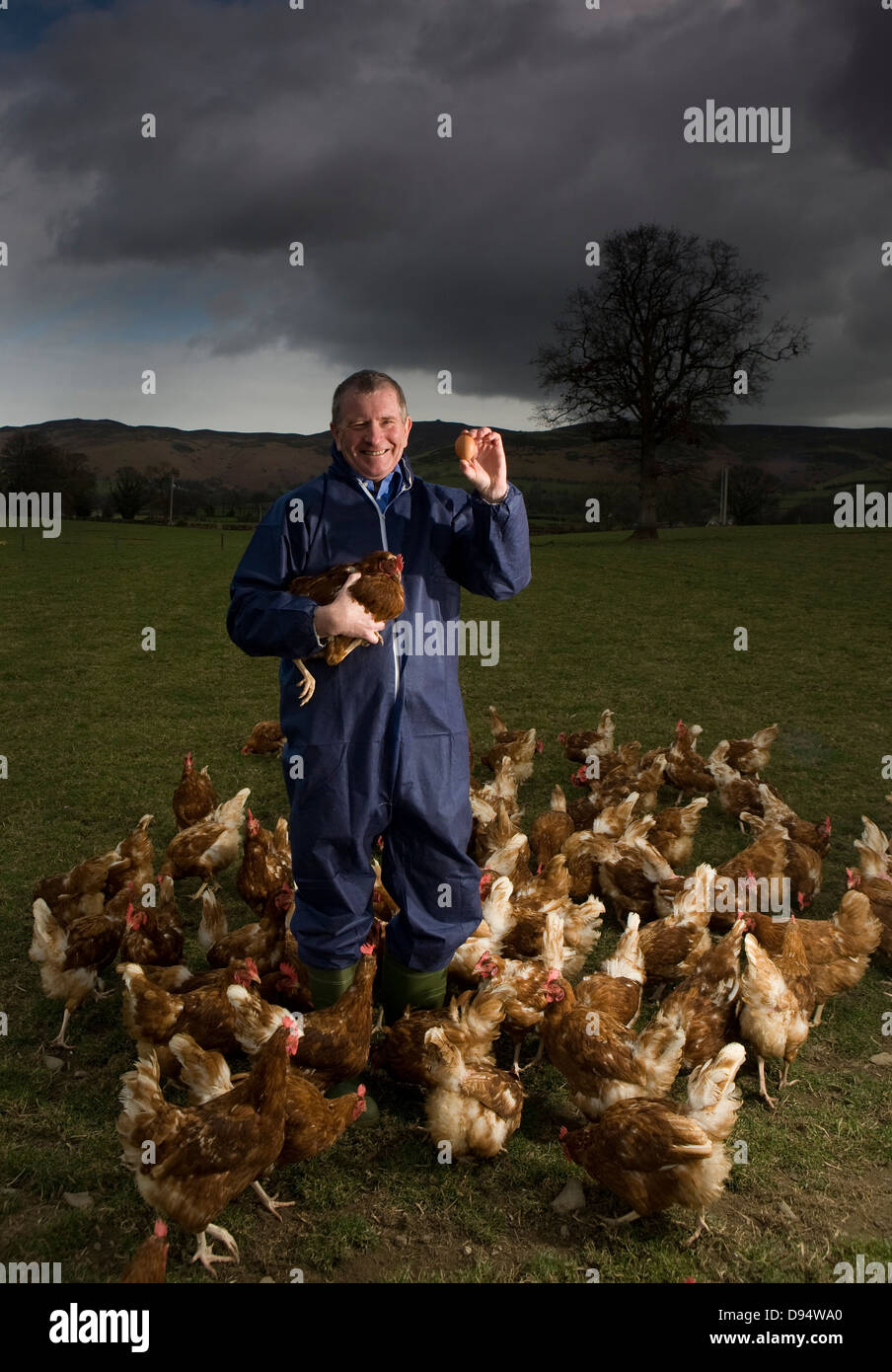 Eggman in Wales Stock Photo - Alamy