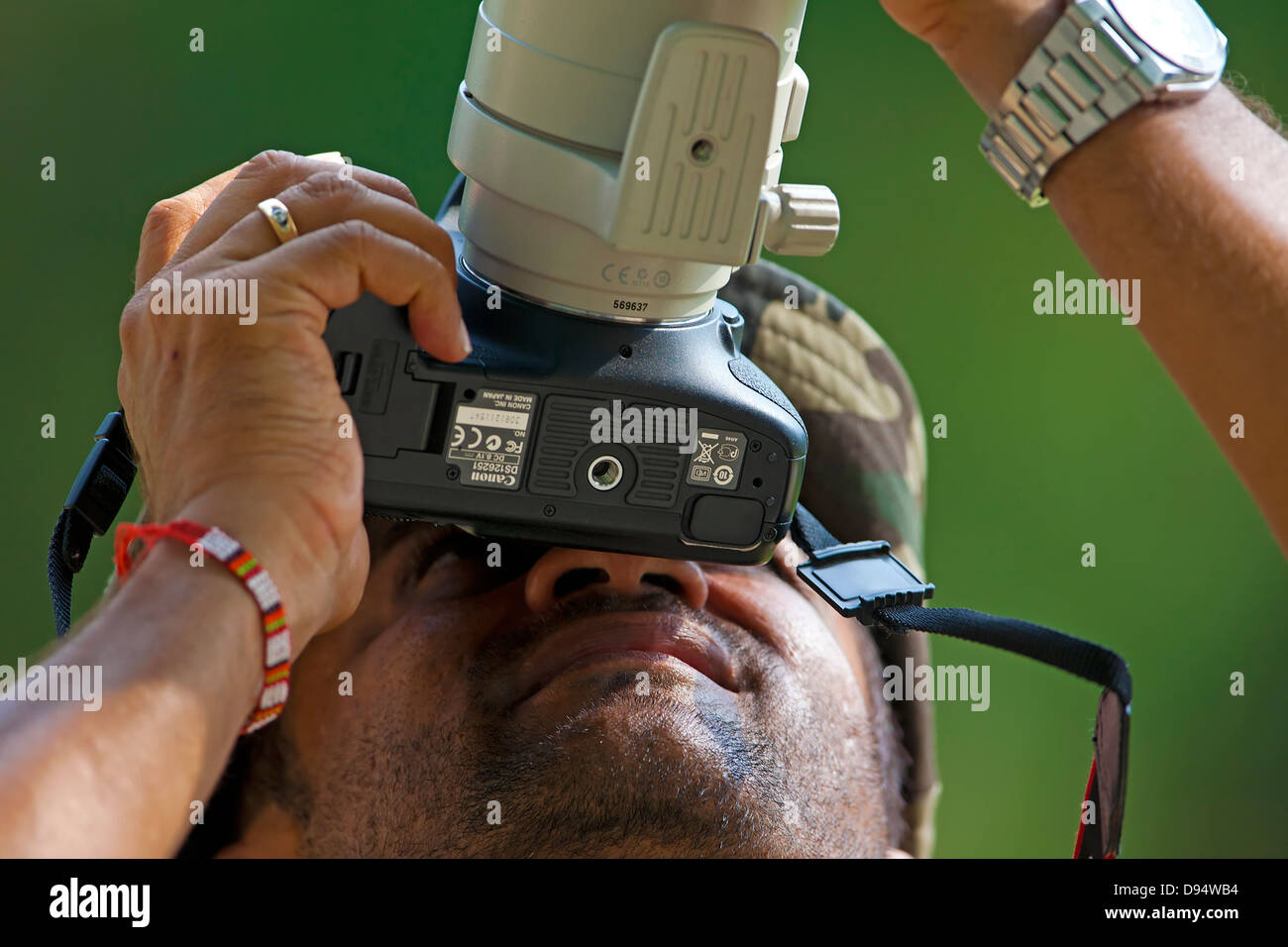 Photographer concentrates on getting picture of the birds Stock Photo ...