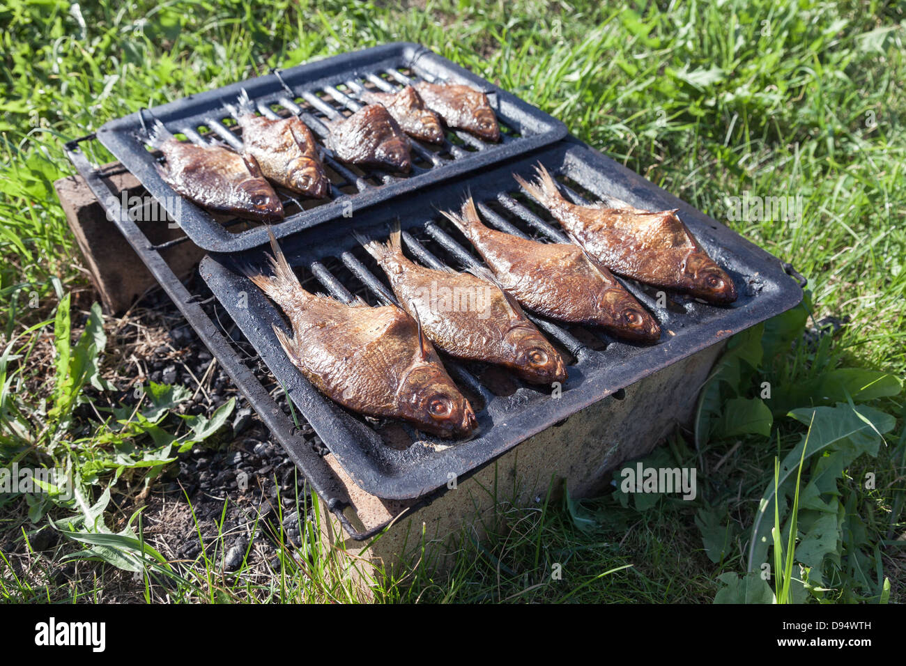 Just smoked fresh fish caught in the river Stock Photo - Alamy