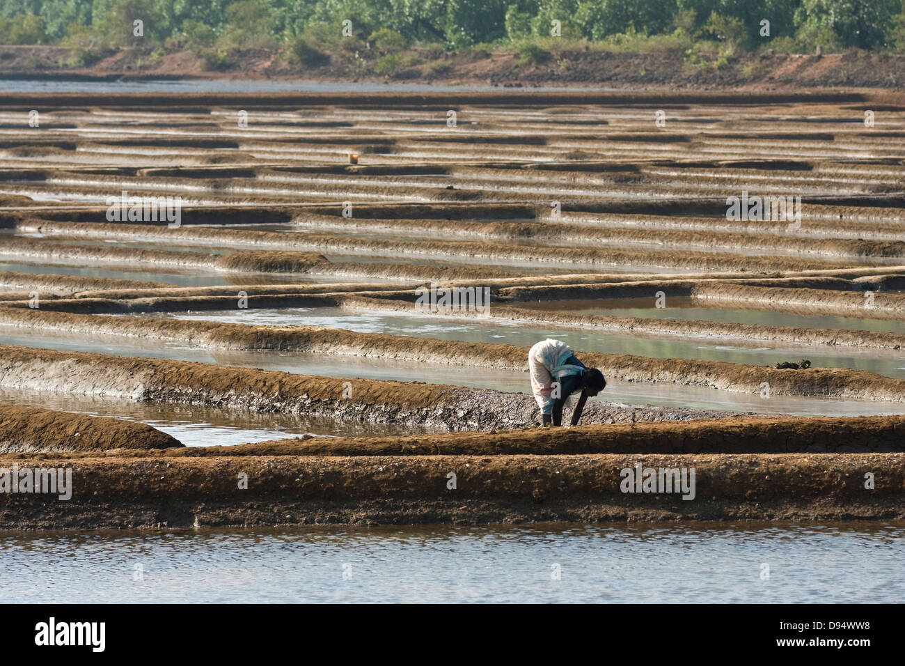 Salt field indian hi-res stock photography and images - Alamy
