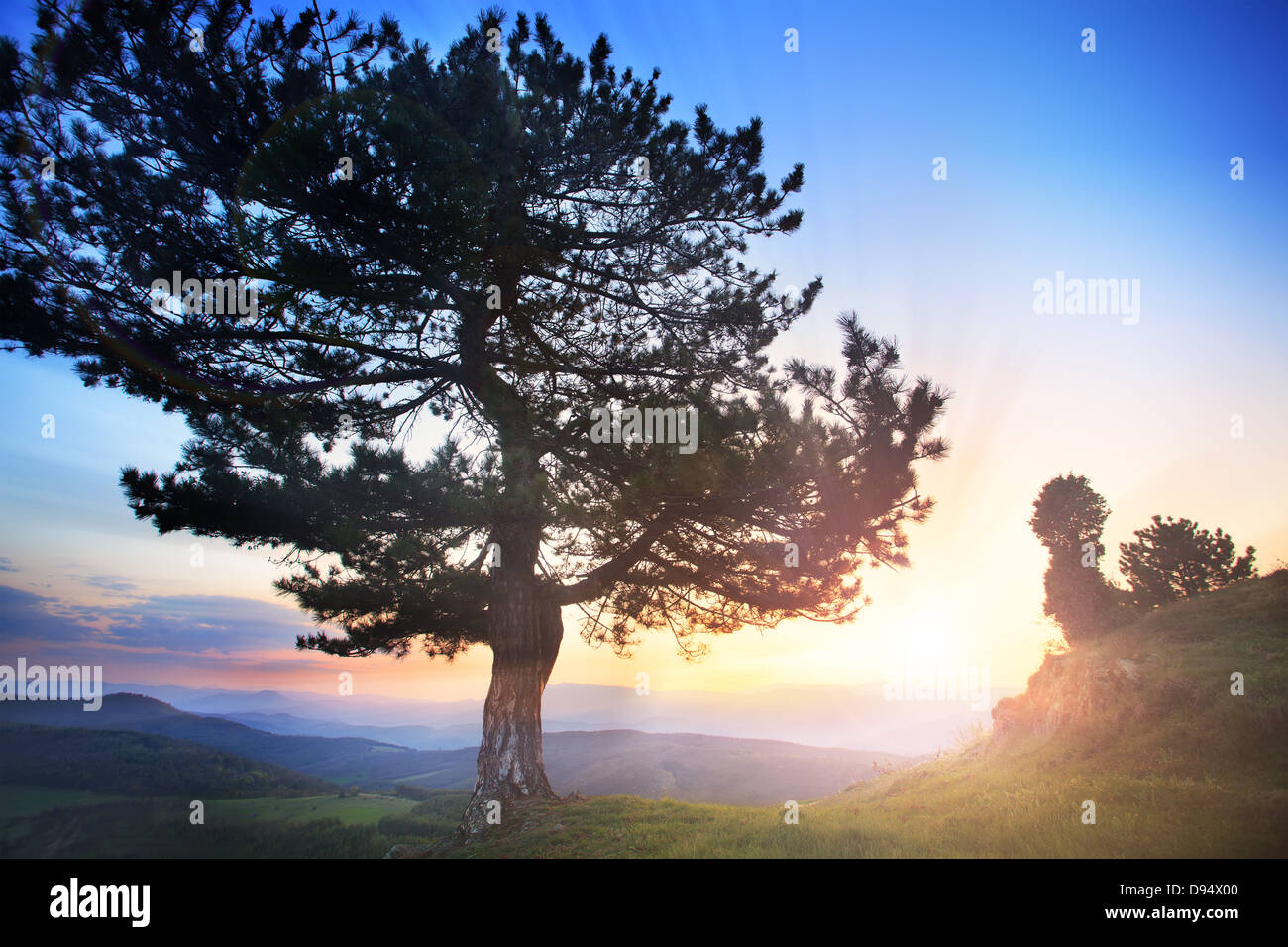 colorful HDR landscape tree in clear green and blue mountain nature ...