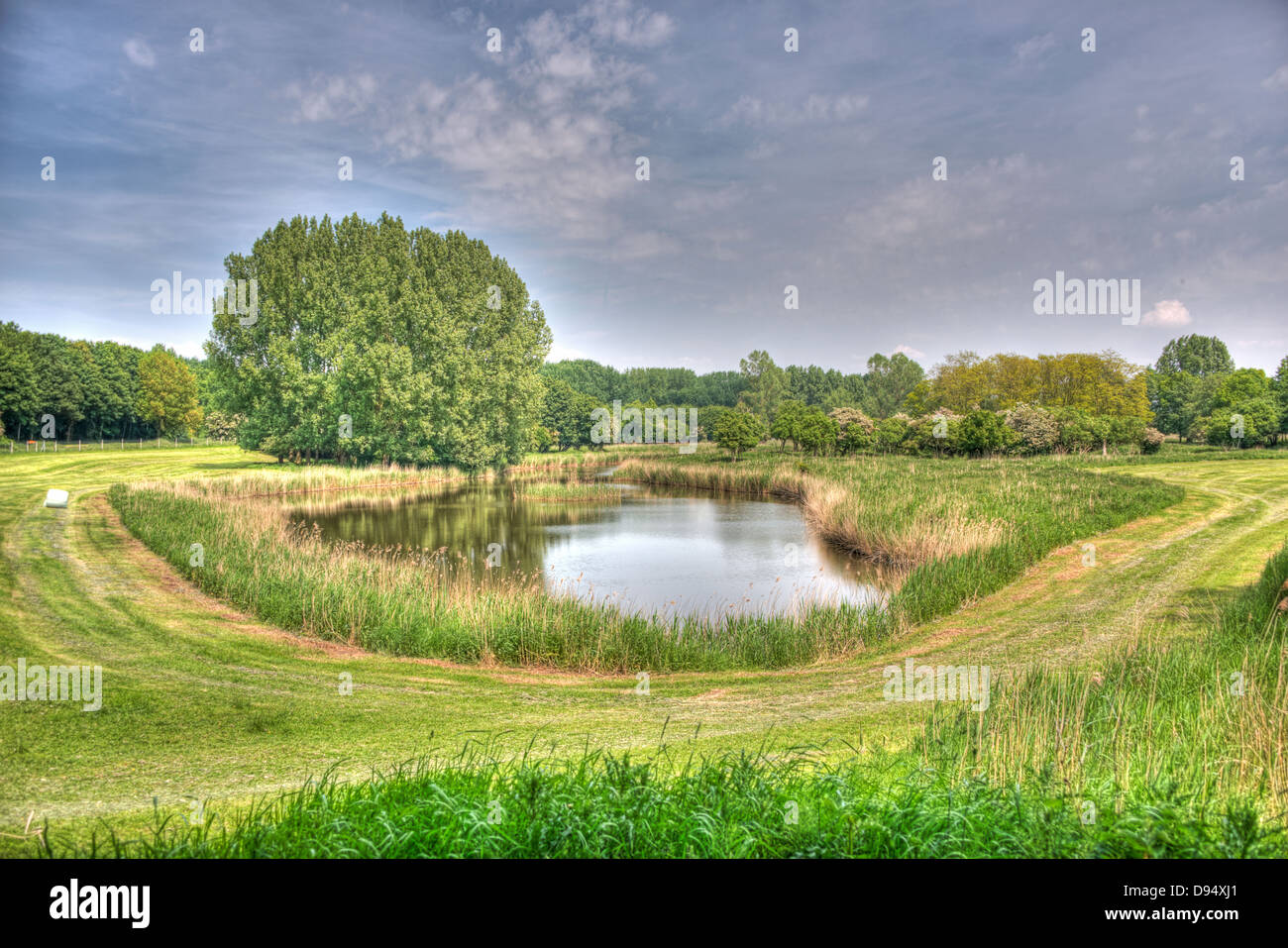 Hdr nature hi-res stock photography and images - Alamy