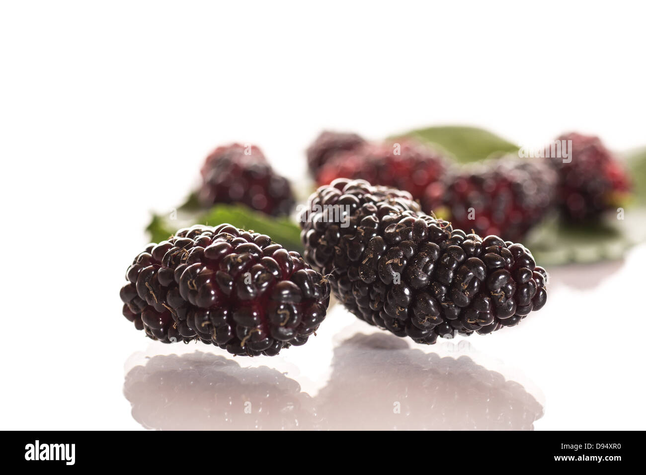 ripe black mulberries on a white background Stock Photo - Alamy