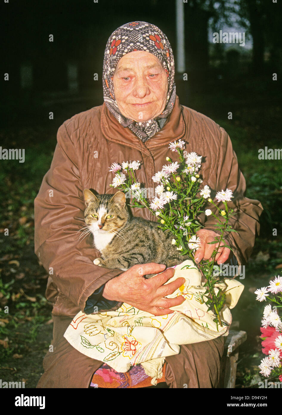 Elderly feline hi-res stock photography and images - Alamy
