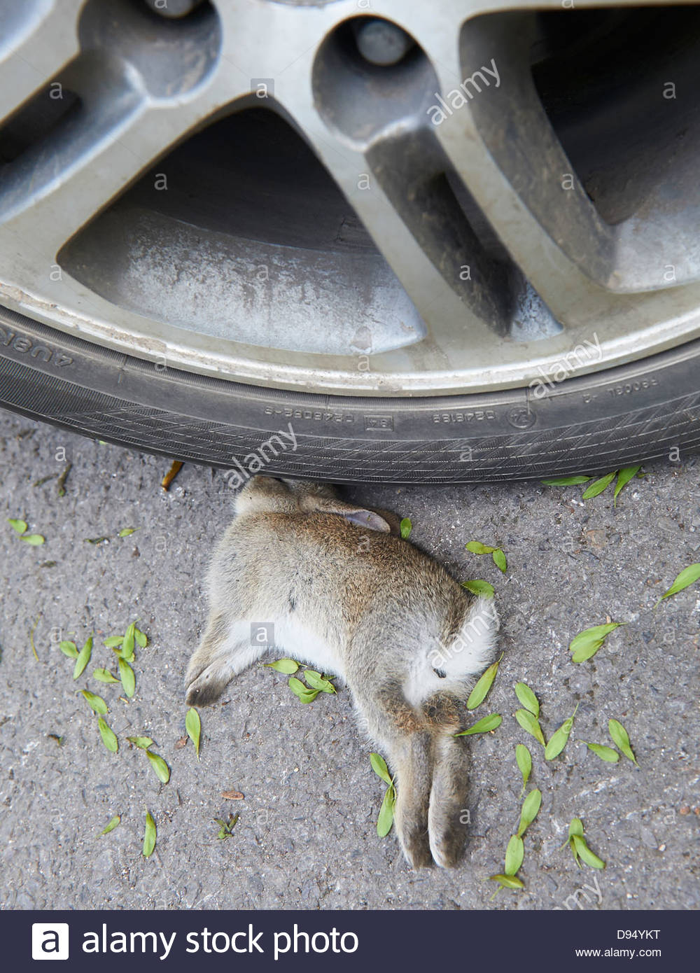 Killed Baby Stock Photos & Killed Baby Stock Images - Alamy