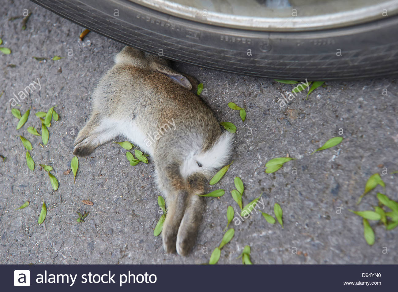 Killed Baby Stock Photos & Killed Baby Stock Images - Alamy