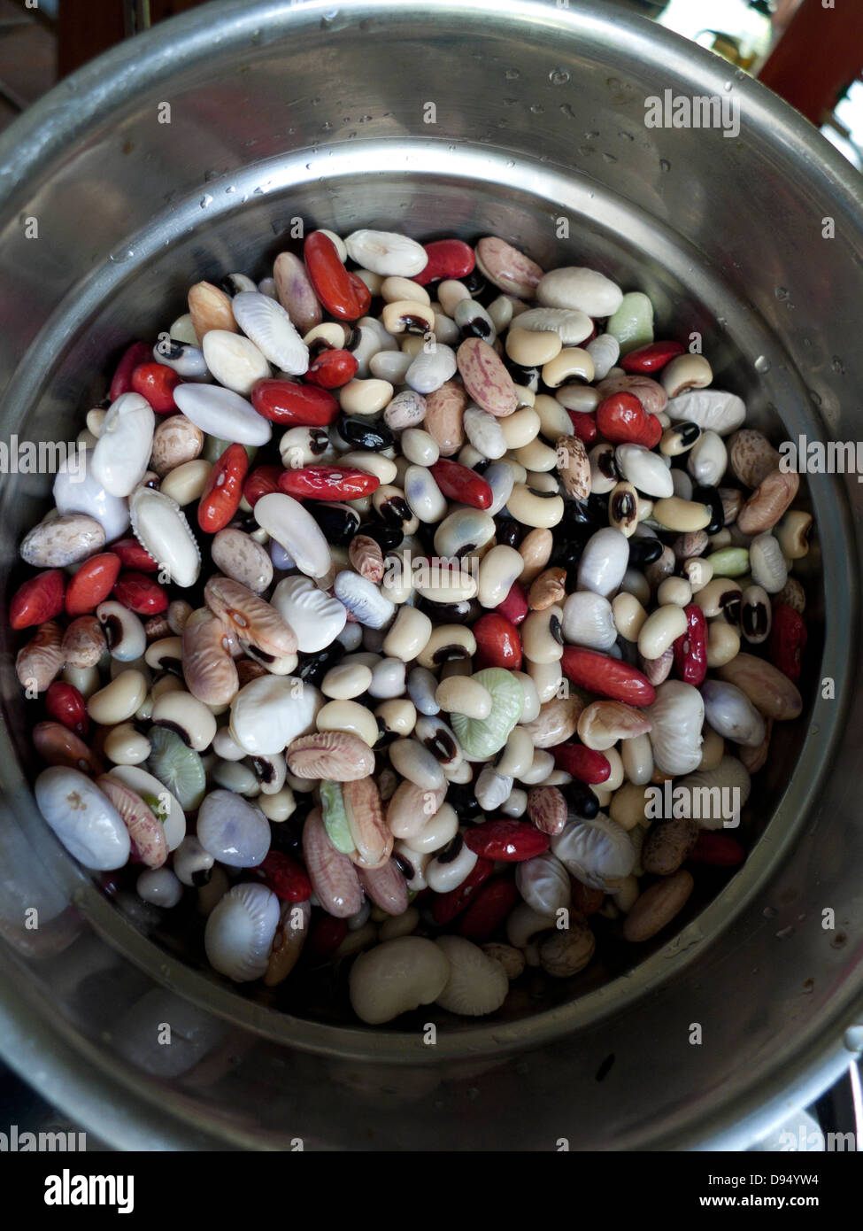 A stainless steal drainer of mixed varieties of dried beans soaked ...