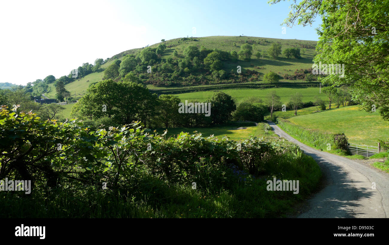 Llanwrda hi-res stock photography and images - Alamy