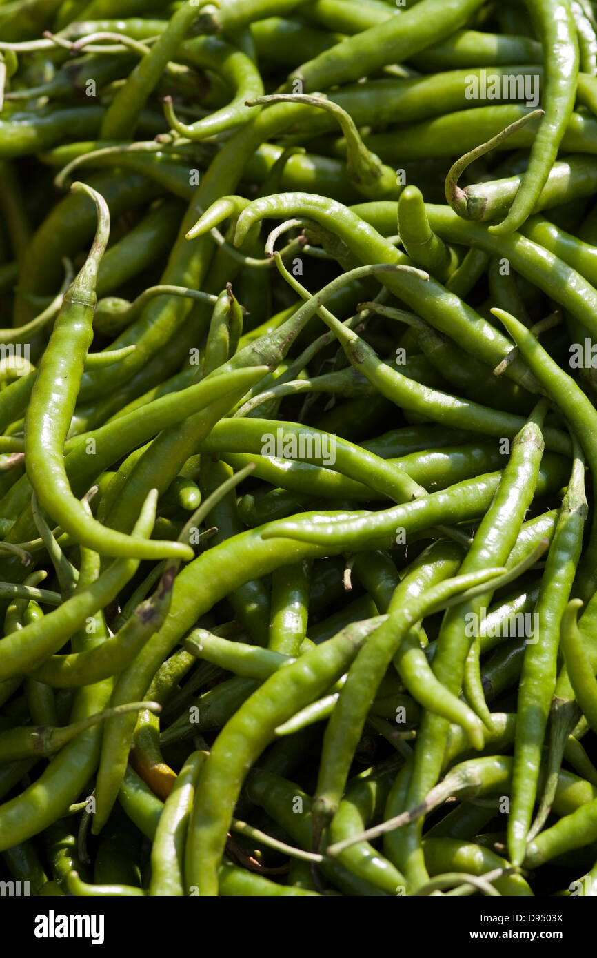 Asia, India, Karnataka, Belur, fresh green chilli peppers Stock Photo ...