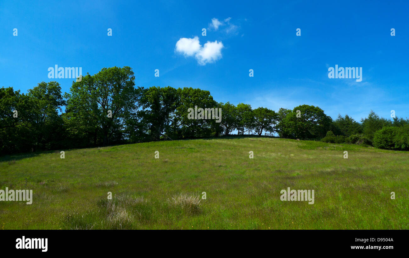 Rural countryside June landscape in summer with blue sky and cloud ...