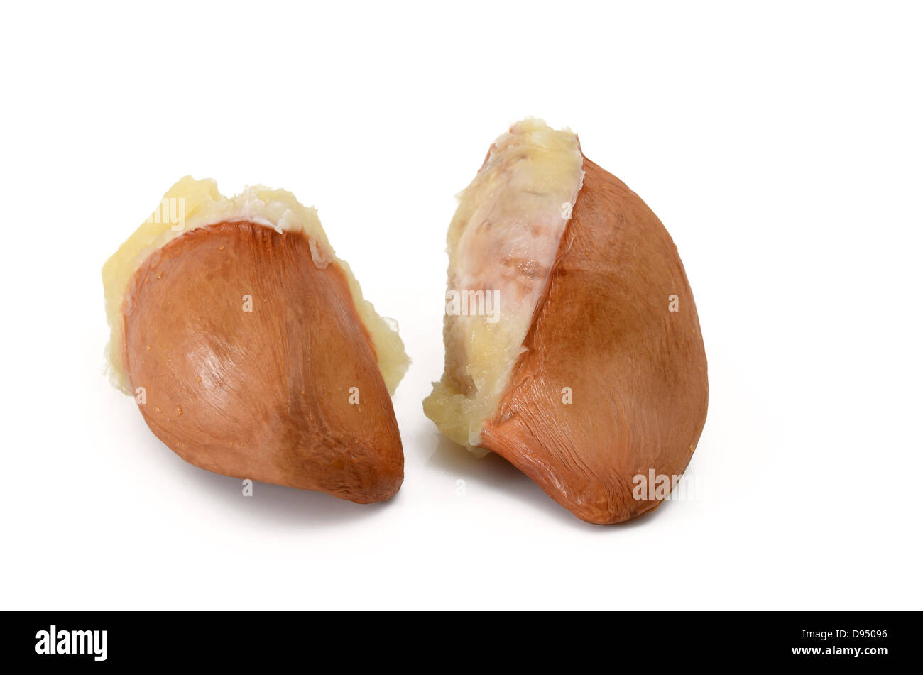 Durian seeds hi-res stock photography and images - Alamy Durian seeds hi-res stock photography and images - Alamy