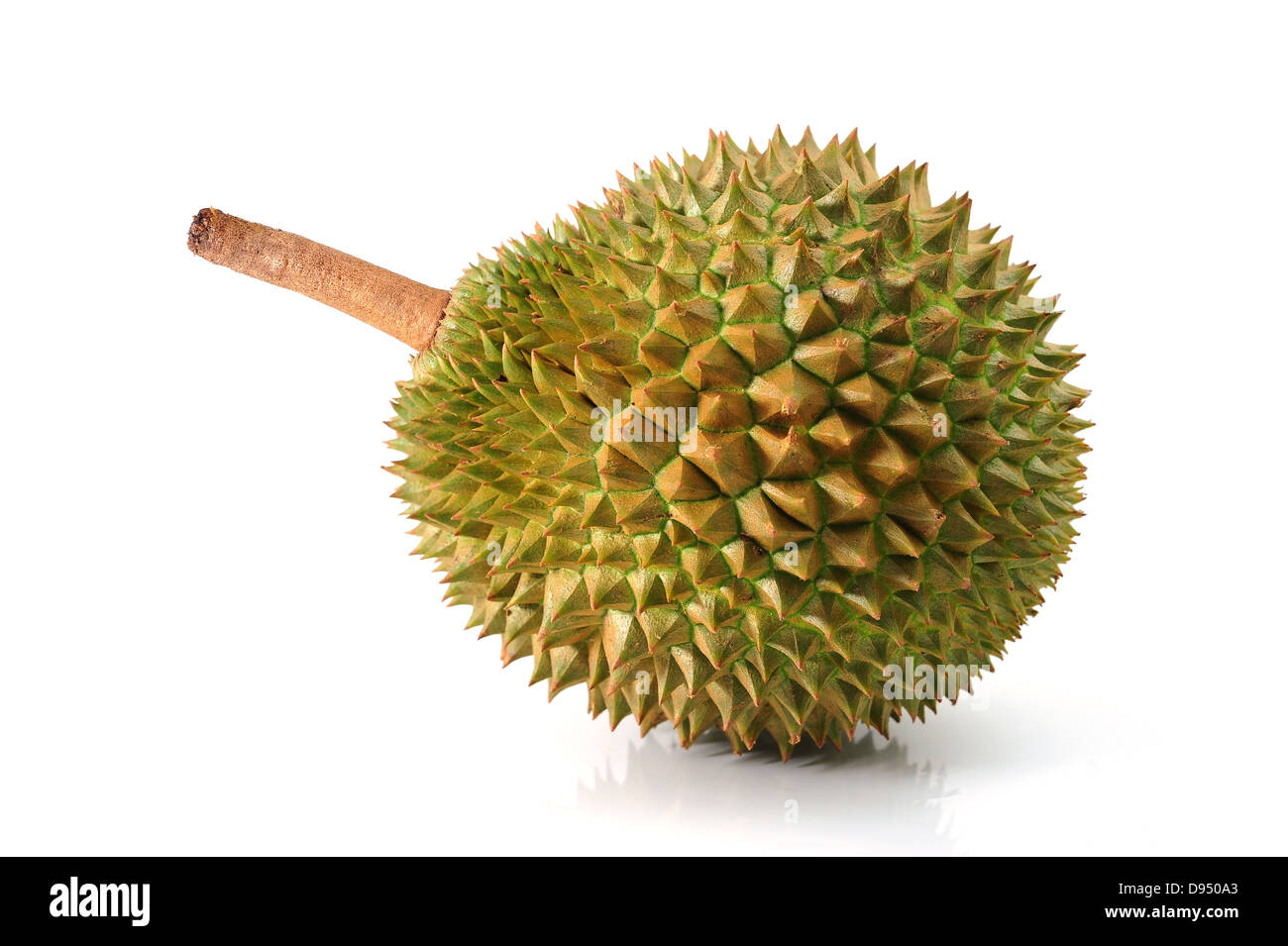 The durian hi-res stock photography and images - Alamy