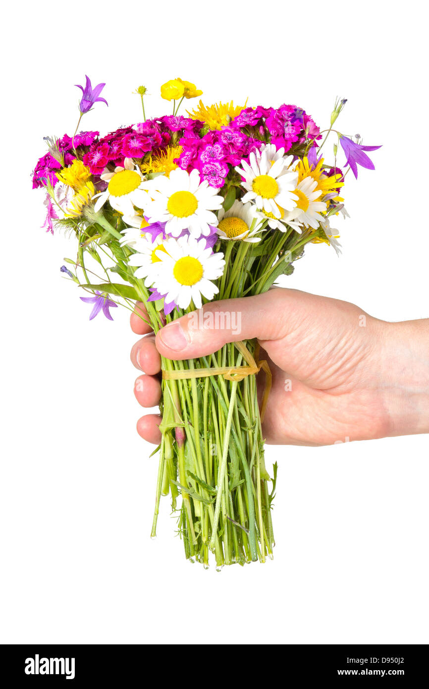 Hand giving bouquet of wildflowers. Isolated on white background Stock ...